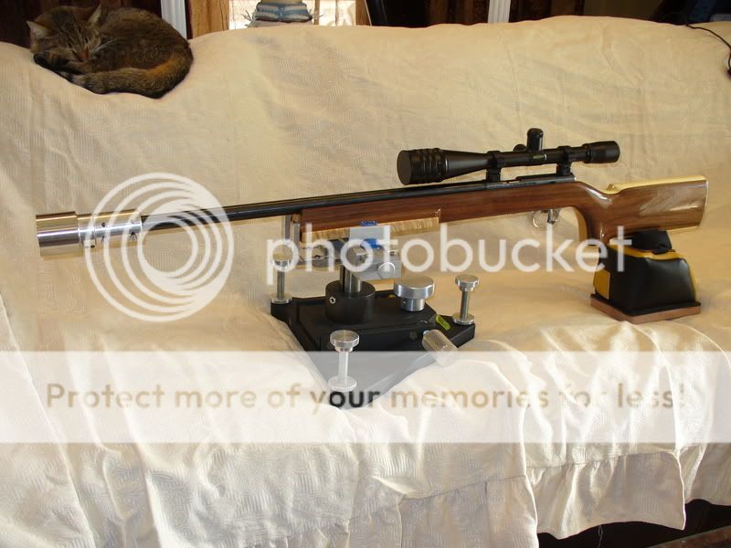 New furniture, and rest! | Rimfire Central Firearm Forum