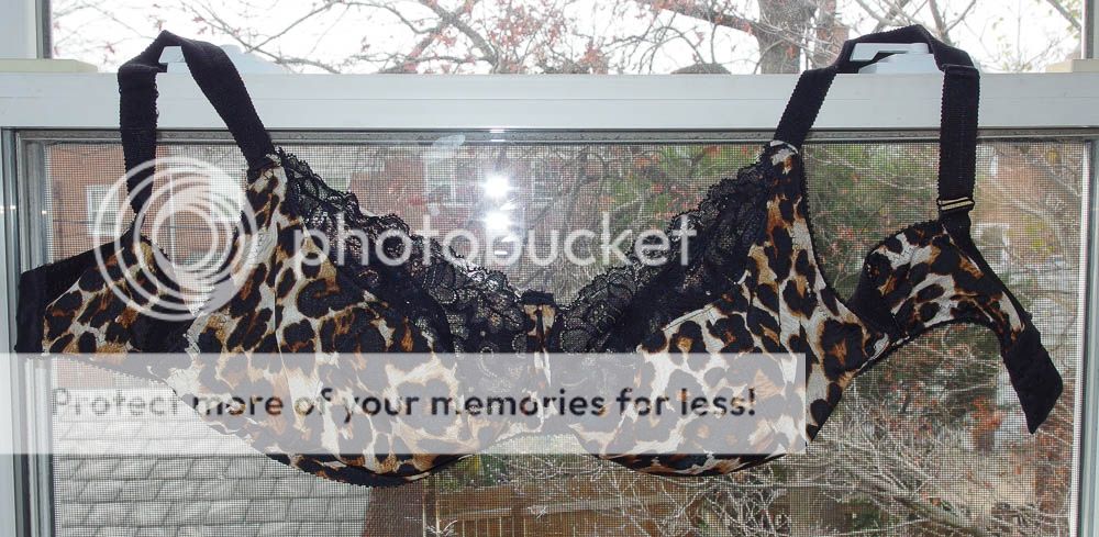 Sewy Isabelle Bra or Random Complaints About My Chronic Disorganization ...